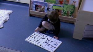 Step-by-step Guide – Autism Transitions